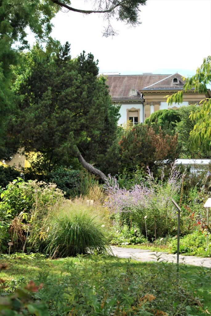 The University of Basel's Botanical Garden - Basel Life