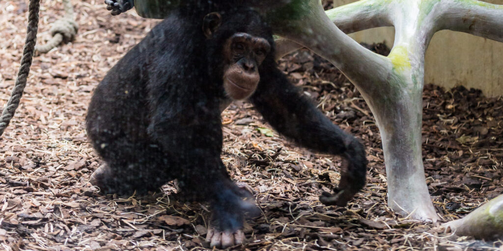 COOP Basel Zoo Days - Basel Life